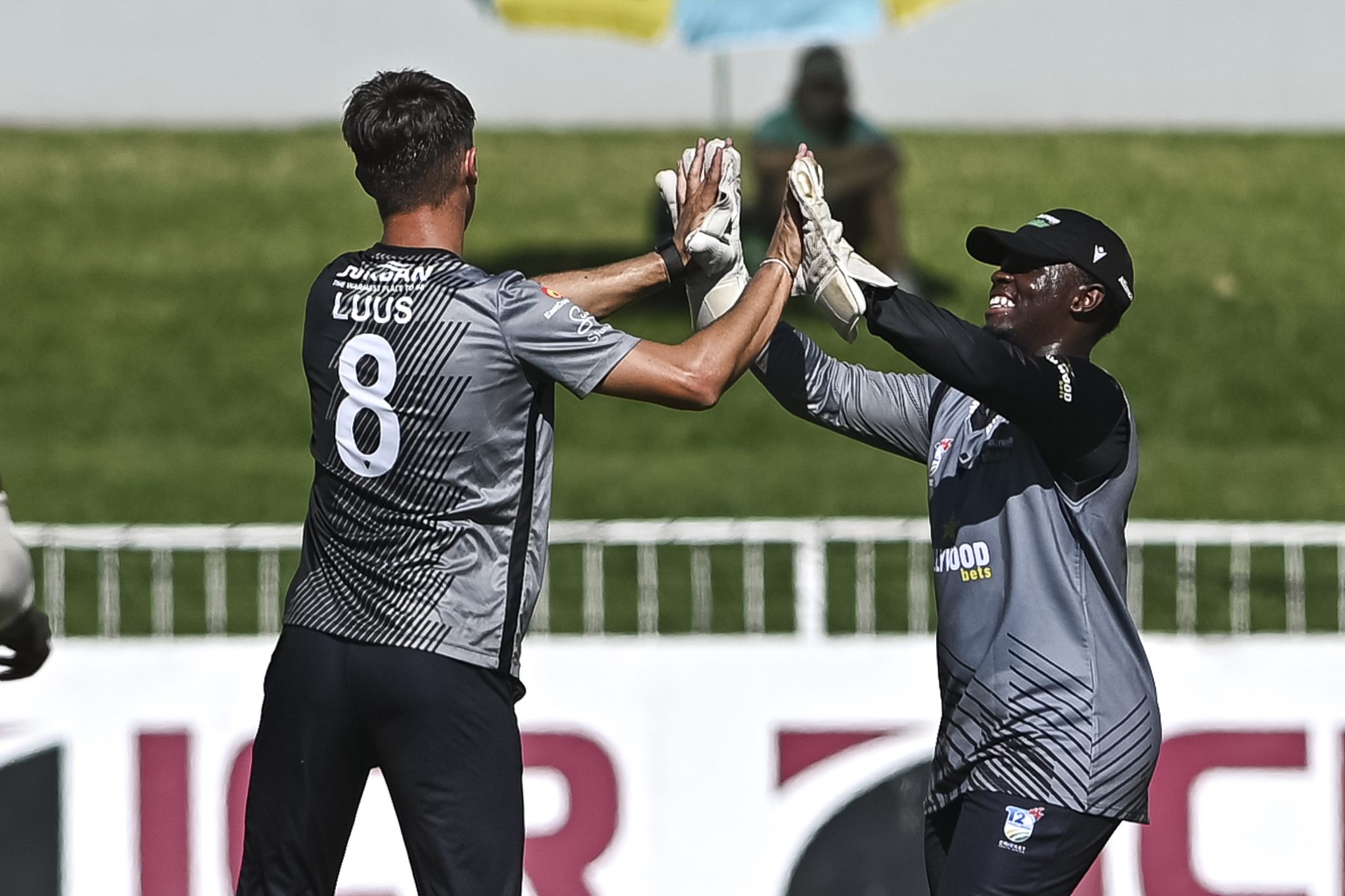 DOLPHINS WIN T20 CHALLENGE ELIMINATOR - Cricket South Africa